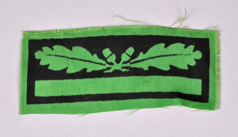 Regimentals | GERMAN WWII WAFFEN SS OBERSTURMFUHRER CAMOUFLAGE RANK ...