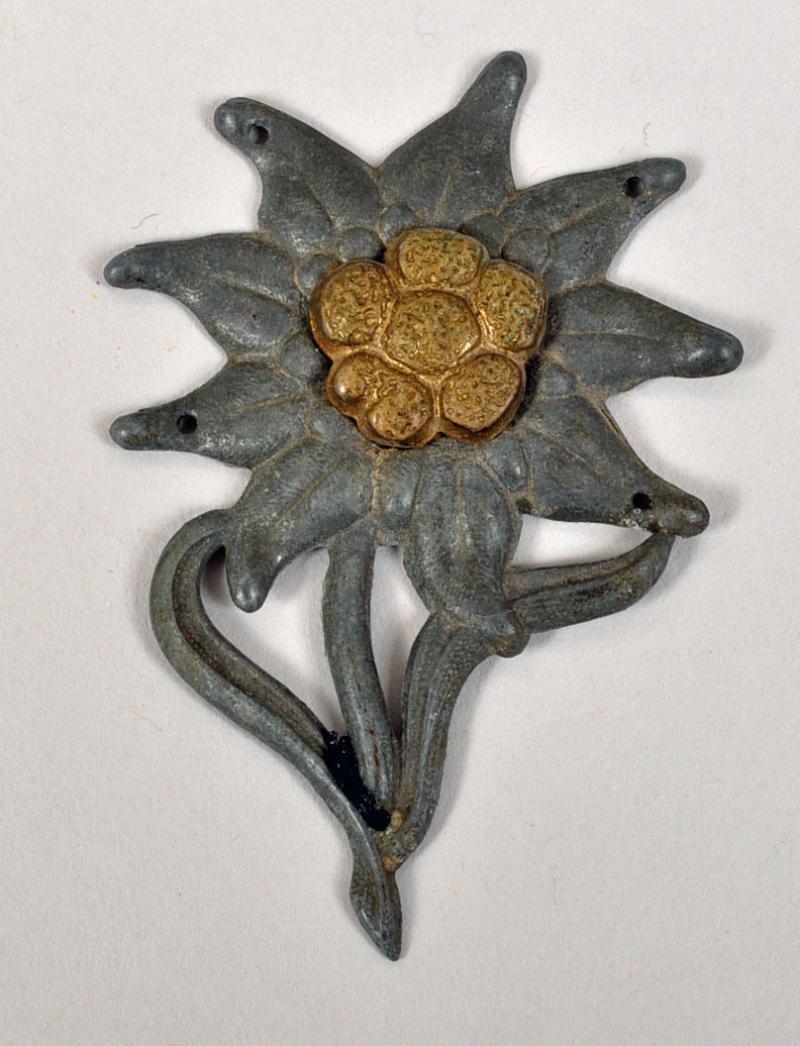 Regimentals | GERMAN WWII MOUNTIN TROOPERS EDELWEISS BADGE.