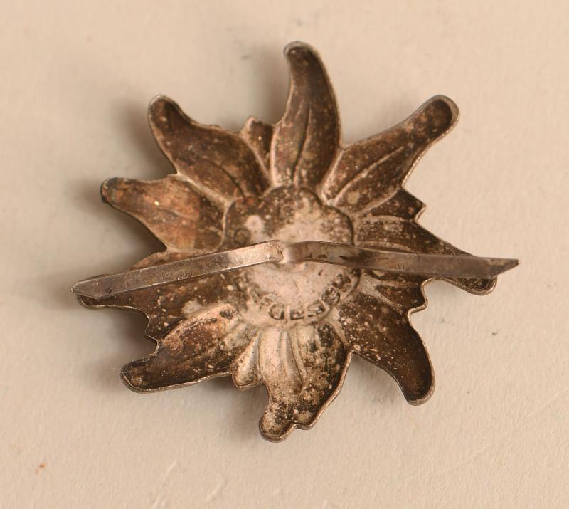Regimentals | GERMAN WWII OLD COMRADES EDELWEISS BADGE.